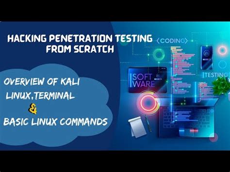 Overview Of Kali Linux Terminal Basic Linux Commands Hacking Penetration Testing From