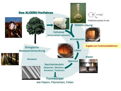 Cell Solution® Clima Ein Naturprodukt Mit Zusatzfunktion