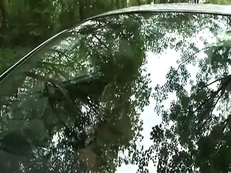 British MILF Takes A Walk In The Woods Vibrator Porn XHamster