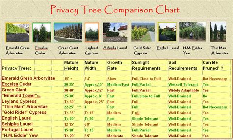 NurseryTrees Com Home Page