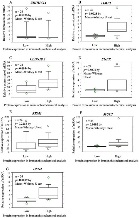 The Relationship Between Protein And Gene Expression Determined By Download Scientific Diagram