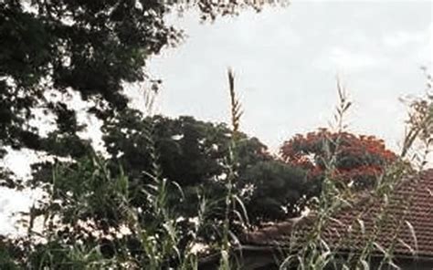 Kenya Safari Destinations Kitale Olanka Safaris