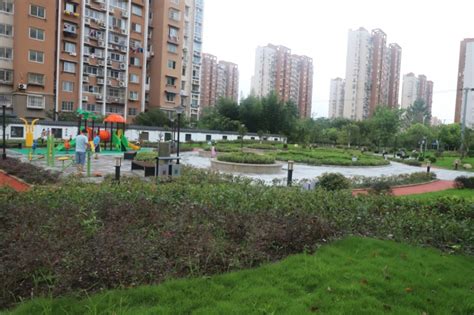 航头镇：闲置空地变身口袋公园