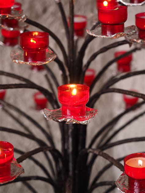 Banco de imagens luz flor pétala vidro vermelho cor feriado