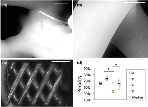 Figure 1 From In Vitro Evaluation Of 3d Printed Polycaprolactone