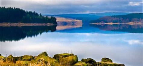Kielder Reservoir Given Role In Flood Protection Plans Wwt