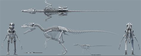 Utahraptor Ostrommaysorum Skeletal By Mithoskuu On Deviantart