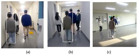 Sensors Free Full Text Spt Single Pedestrian Tracking Framework With Re Identification