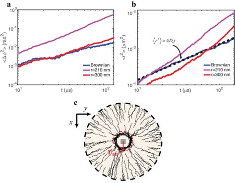 a b log−log plots of msad and msd characterizing the diffusional