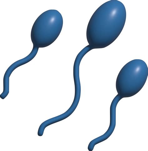Sperm Cell Pngs For Free Download