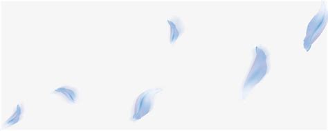 漂浮元素 创意合成蓝色的花瓣效果场景 好图网