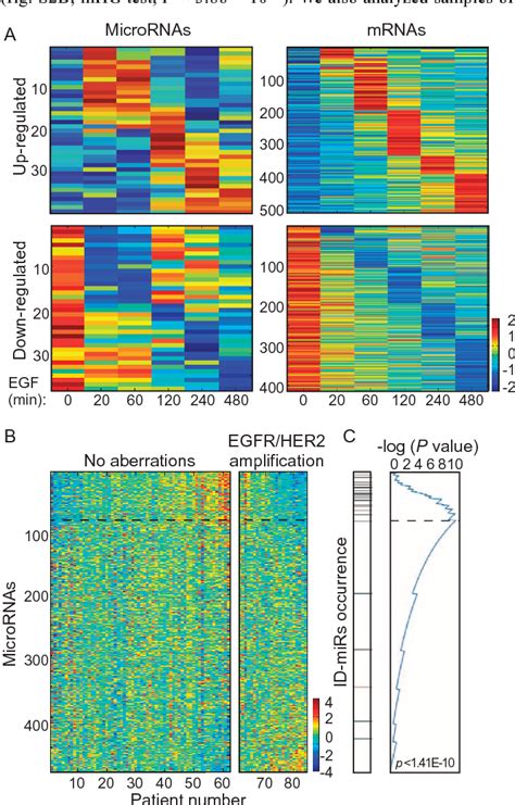 Figure 1 From Transcription Factors Egf Decreases The Abundance Of