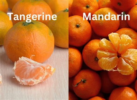 Tangerine Vs Mandarin What S The Difference Eat Your Beets