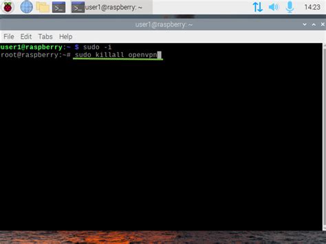 how to set up openvpn on raspberry pi os fastvpn