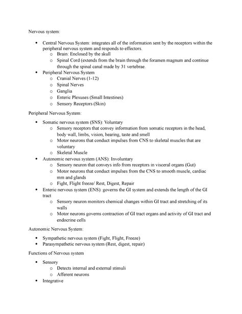Chapter 12 Lecture Notes 12 Nervous System Central Nervous System