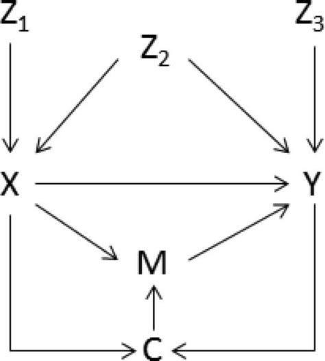 constructing causal diagrams for common perinatal outcomes benefits