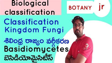 Basidiomycetes Classification Of Fungi బెసిడియోమైసిటీస్ Youtube
