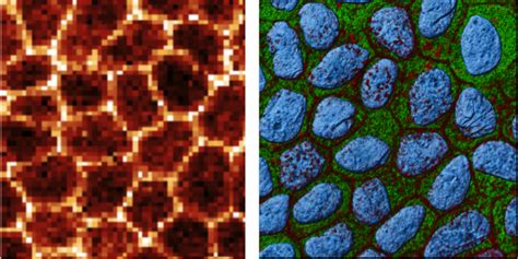 Research Group Roderick Lim Biozentrum