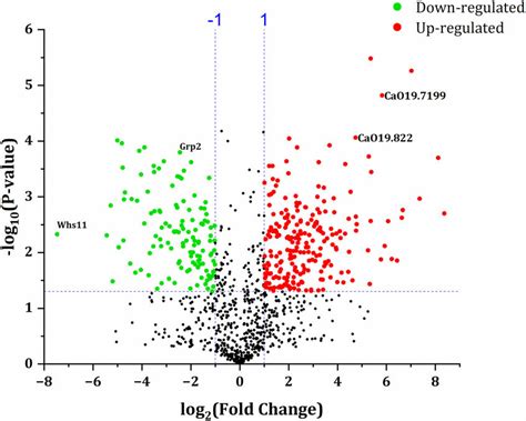 Volcano Plot Red Or Green Color Dots Indicate Differentially Expressed Download Scientific