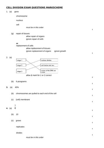 Cell Division Notes Teaching Resources
