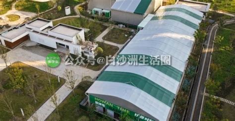 市民反映白沙洲这个公园建设与初期规划有出入？腾讯新闻