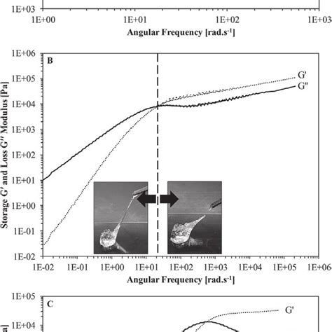A Constant Strain Oscillatory Frequency Rheology Measurement Of The