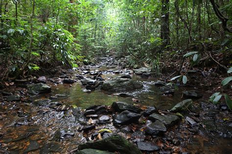 3d2n Tanjung Datu National Park Star Travel Malaysia