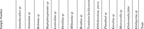 Distribution Of Benthic And Planktic Foraminifera Download Scientific