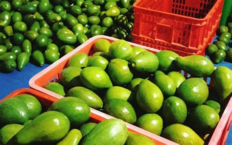 Riba Nasiah Berikut Hukum Dan Contoh Jual Belinya Moeslimid