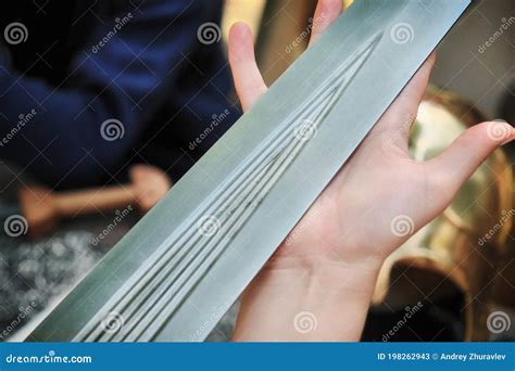 Close Up Of Sword Fern Tendrils And Mature Leaves Stock Image 181109803