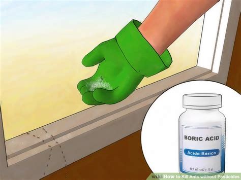 4 Ways To Kill Ants Without Pesticides WikiHow