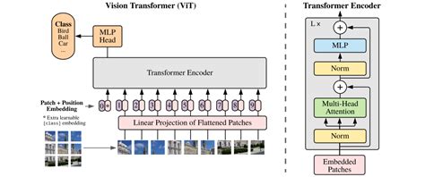 Ch 9 Vision Transformer Part I— Introduction And Fine Tuning In Pytorch By Lucrece Jahyun