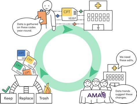 What Are CPT Codes Avelead