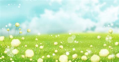 業務内容のご紹介／自社紹介｜山本 篤│株式会社セキュアパートナーズ代表取締役