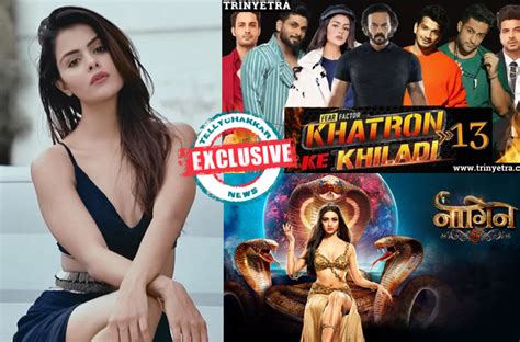 Exclusive Priyanka Chahar Choudhary Reveals If She Is A Part Of