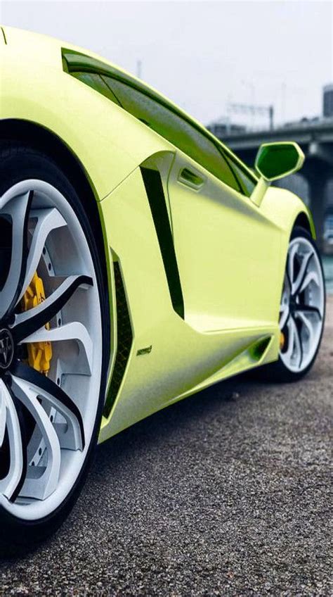 😎 Aces Rule 😎 — 😎 Acesrule 😎 Tumblr 😎 Canoe And Kayak Vacation