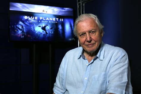 Sir David Attenborough May Not Return For Frozen Planet Ii And Planet