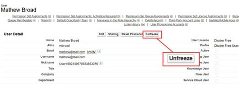 How To Freeze And Unfreeze User In Salesforce