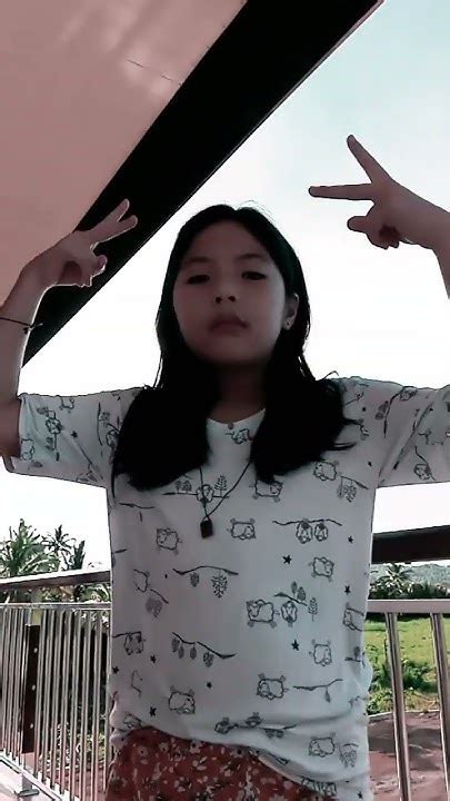 고양이 고양이영상 Youtube