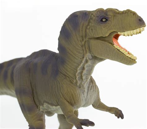 T Rex Dinosaur Model 2019 From Safari Ltd