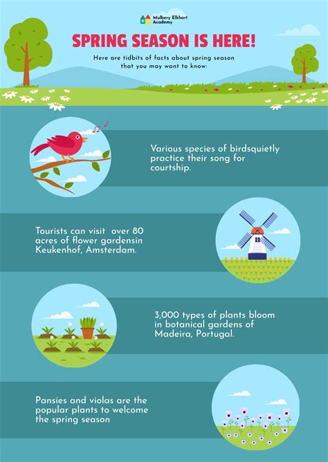 Free Spring Infographic Template To Edit Online