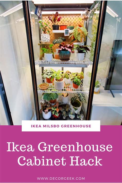 Ikea Greenhouse Cabinet Hack Ikea Plants Ikea Indoor Plants Greenhouse