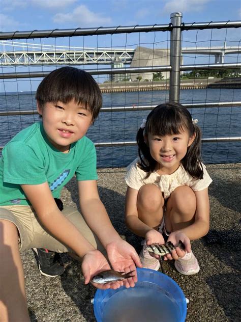 【アジュール舞子】サビキするならココ！リアルタイム フィッシングマックス 関西の釣果大阪･神戸･和歌山の釣果情報