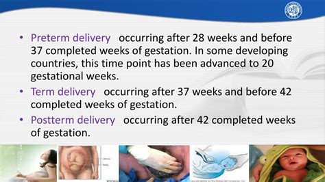 Ppt Normal Labor And Delivery Powerpoint Presentation Free Download