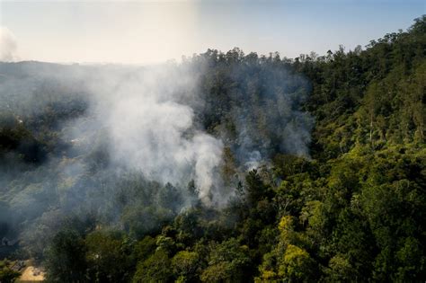 Incendios La Amazonía También Se Quema Pero En Proporciones
