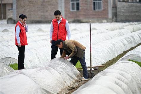 润物无声，博白农信普惠助春耕医药医改频道东方养生