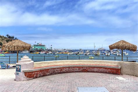 Catalina Island View Photograph By Eddie Yerkish