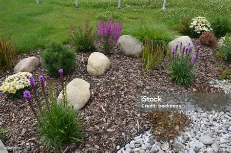 다년생 소나무 회색 화강암 바위 뿌리 껍질과 자갈이 있는 관상용 화단은 주차장 쇼핑 센터 근처의 도시 적 분위기에서 바위 정원에 대한 스톡 사진 및 기타 이미지 Istock