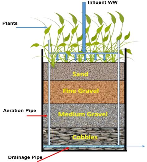 vertical flow constructed wetland vfcw download scientific diagram