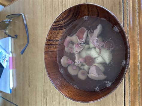 旬の味 にこにこ会掲示板